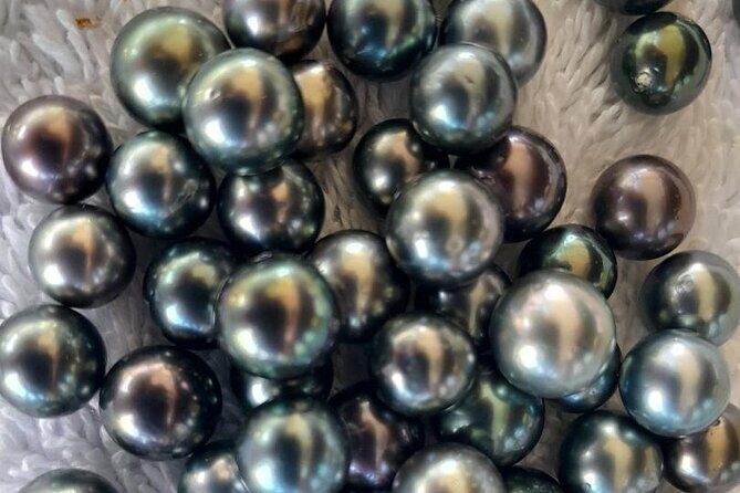 Discovery in Kayaking of the Faaroa River in Raiatea - Potential Drawbacks to Consider