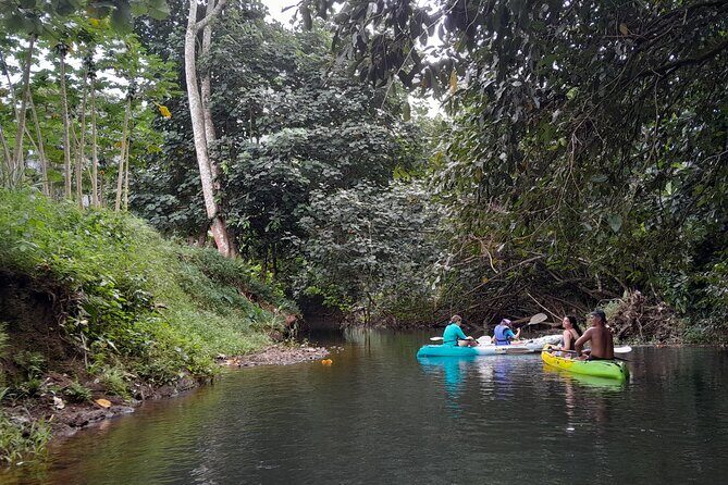 Discovery in Kayaking of the Faaroa River in Raiatea - Who Will Love This Tour?