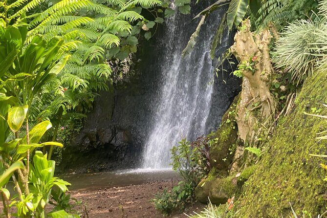 Discovery of Tahiti Nui Island - Key Points