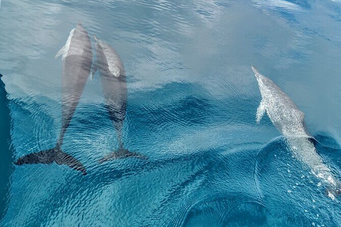 Discovery of the Tahiti Teahupo'o Jurassic Tour peninsula - Authentic Experiences and Guest Insights