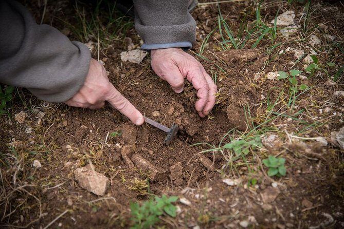 Discovery of the world of Truffles and tasting - Key Points