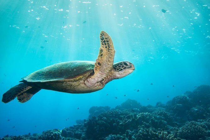 Discovery Program - What You’ll Love About the Tour