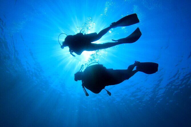 Discovery Scuba Dive. - The Itinerary Breakdown: What You Can Expect