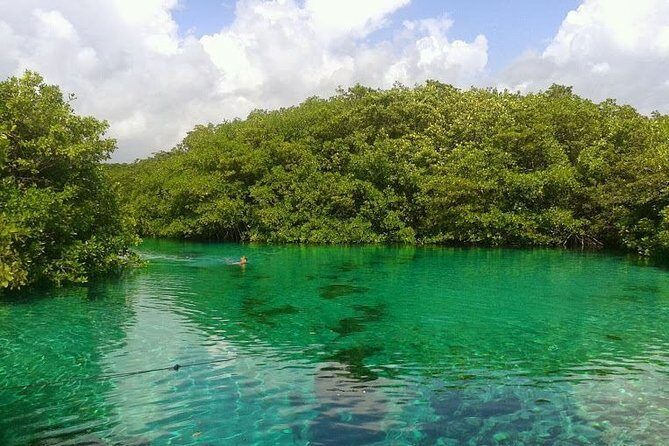 Discovery Scuba Diving - Who Is This Tour Perfect For?