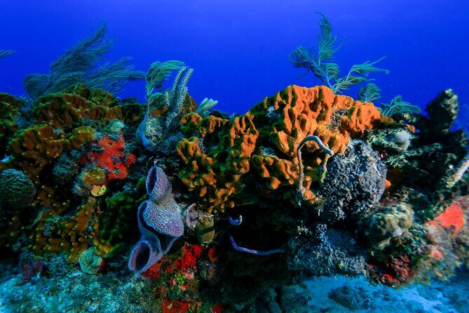 Discovery Scuba Diving !! - FAQs