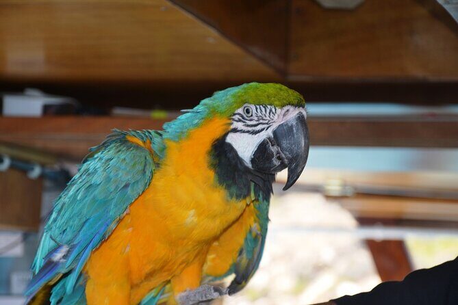 Discovery Sightseeing Boat Trip from Agia Napa - Frequently Asked Questions