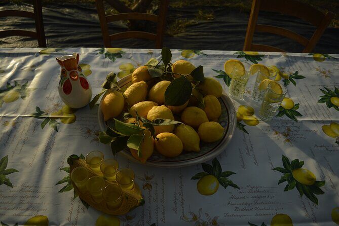 Discovery Tour of Sorrento Lemon in Massa Lubrense - Discovery Tour of Sorrento Lemon in Massa Lubrense: A Sweet Slice of Italy’s Citrus Heritage