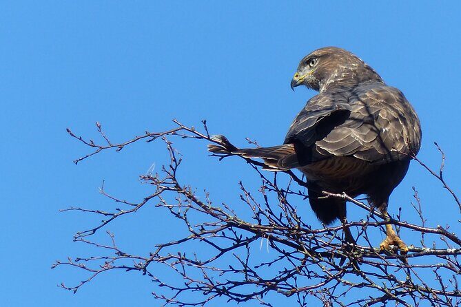 Discovery Wildlife Safari - Key Points