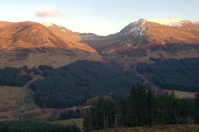 Discovery Wildlife Safari - Why This Tour Is Worth Considering