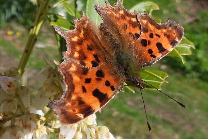 Discovery Wildlife Safari - Who Will Love This Experience?