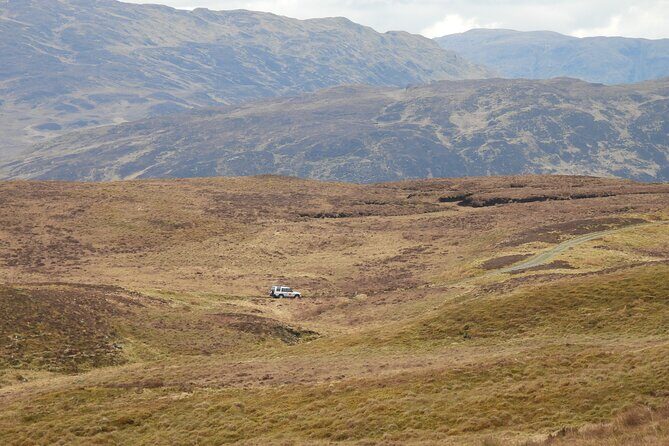 Discovery Wildlife Safari - Final Thoughts