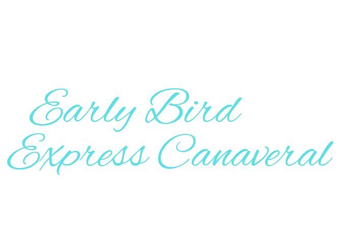 Disney World to Disney Cruise Line Private Transportation - A Detailed Breakdown of the Experience