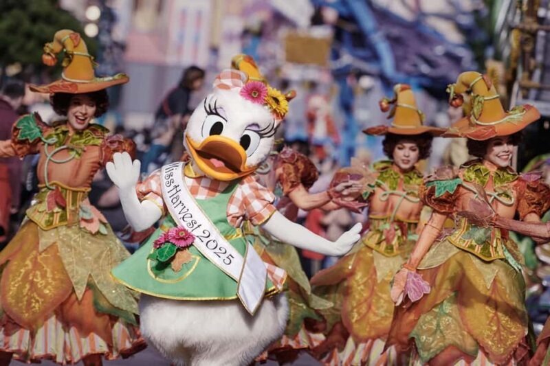 Disneyland® Paris Tickets and Shuttle Transport - Downloading Your Tickets and Entry Process