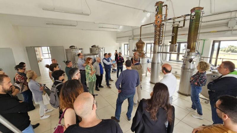 Distilleria Alma- Rum Distilery Guided Tour & Tasting - Key Points