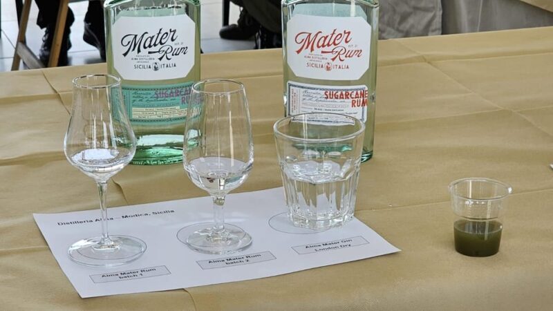 Distilleria Alma- Rum Distilery Guided Tour & Tasting - Practical Details: Cost, Duration, and Accessibility