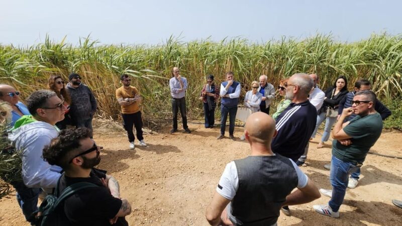 Distilleria Alma- Rum Distilery Guided Tour & Tasting - Final Thoughts