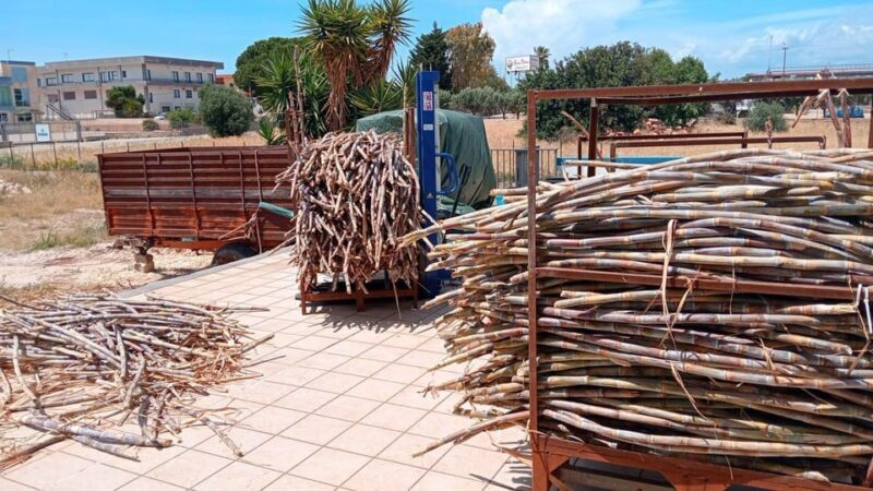 Distilleria Alma- Rum Distilery Guided Tour & Tasting - FAQ