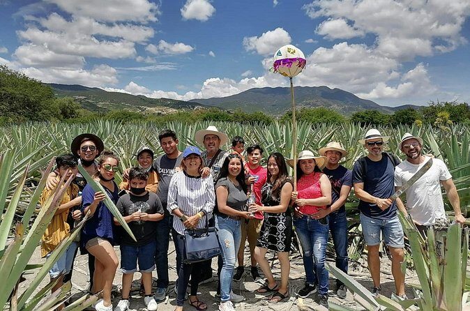 Distillery Tour and Agave Fields by Mal de Amor Mezcal - Final Thoughts