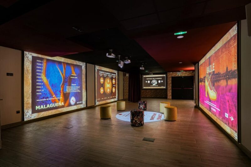 Dive In and Discover: Flamenco in an Interactive Journey - Value for Money and Practical Details