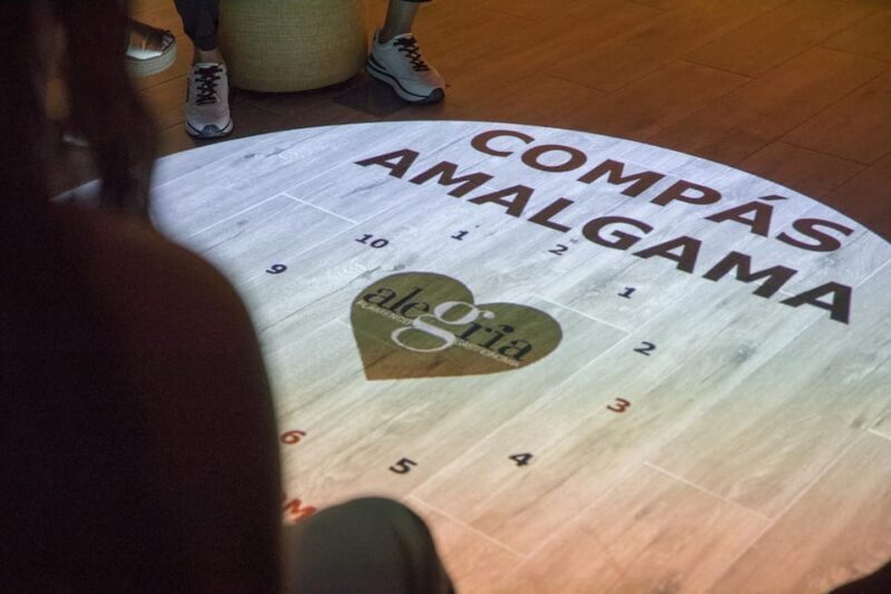 Dive In and Discover: Flamenco in an Interactive Journey - What Reviewers Are Saying