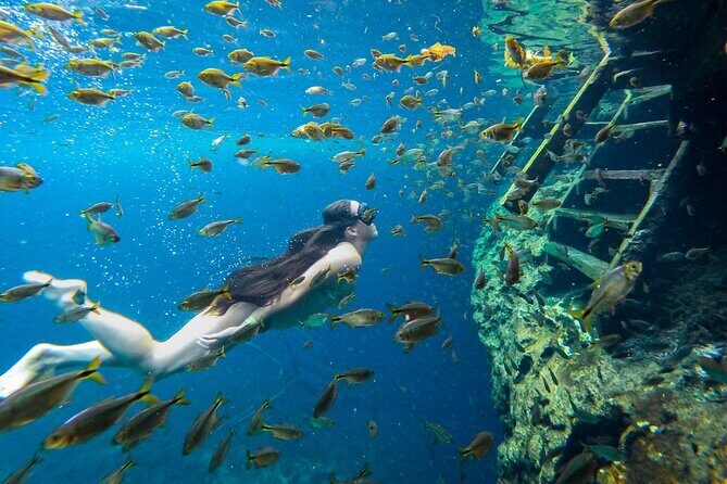 Dive into Tulum: Tour 3 Cenotes, from Riviera Maya - Final Thought: Is It Worth It?