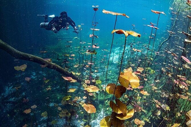 Dive into Tulum: Tour 3 Cenotes, from Riviera Maya - FAQs