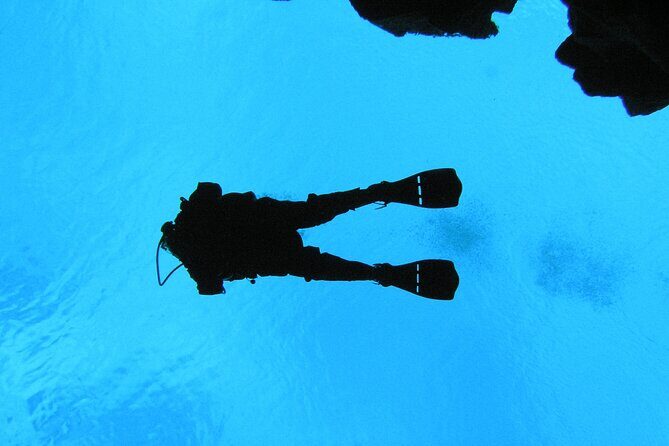 Dive the Divide: Silfra Fissure Scuba Tour | Meet at Thingvellir - An In-Depth Look at the Tour Experience