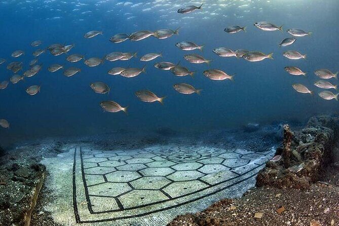 Diving at the Baia Submerged Park for certified divers - Introduction: Why This Tour Is Special