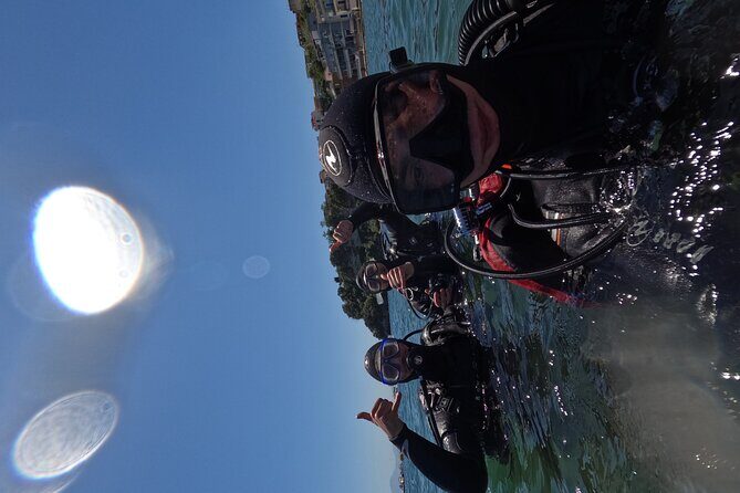 Diving at the Baia Submerged Park for certified divers - Final Thoughts