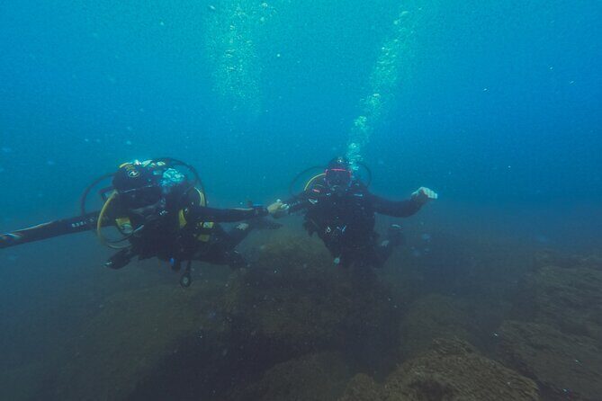 Diving at the Baia Submerged Park for certified divers - FAQ