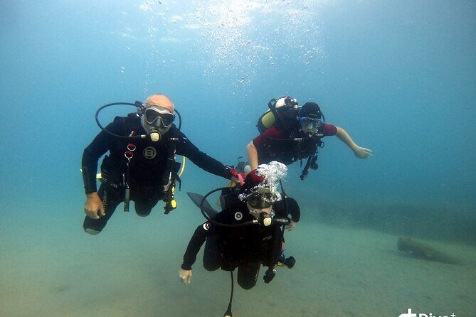 Diving baptism in the Marine Reserve of Cabo Tiñoso - The Sum Up