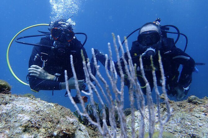Diving baptism in the Montgrí Natural Park - The Authentic Underwater Encounter