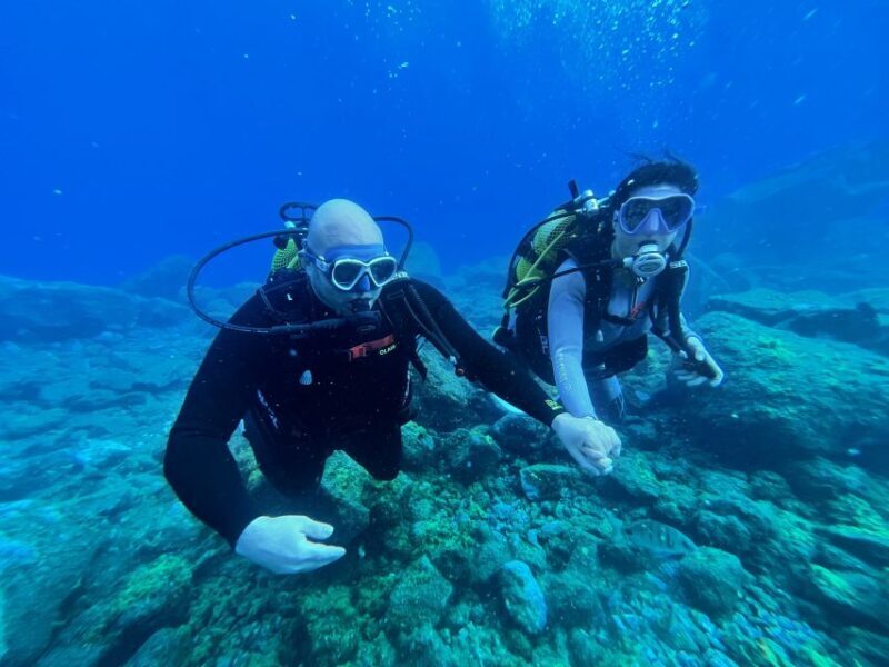 Diving course for beginners in turtle area Tenerife - An In-Depth Look at the Tenerife Beginner Diving Experience