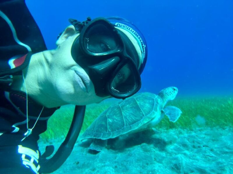 Diving course for beginners in turtle area Tenerife - Who Is This Tour Perfect For?