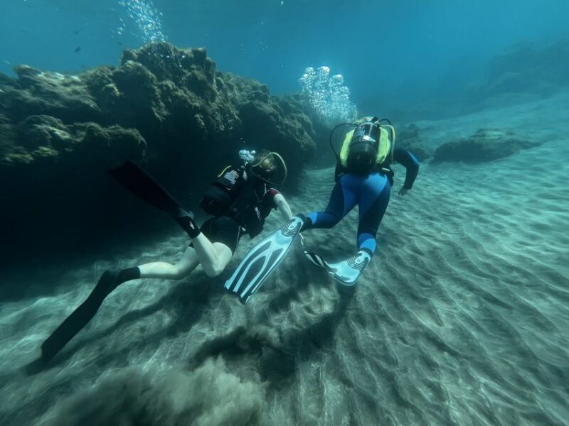 Diving course for beginners in turtle area Tenerife - The Sum Up