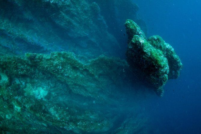 Diving day tour with 2 dives - FAQ