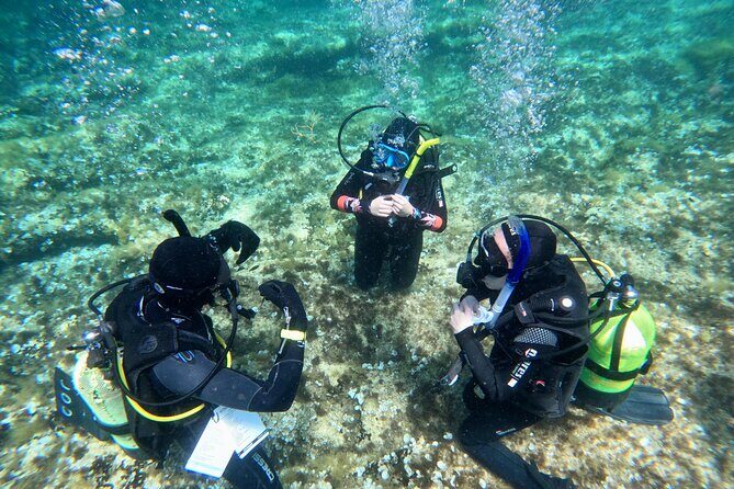 Diving experience in Malta - Authentic Experiences from Participants