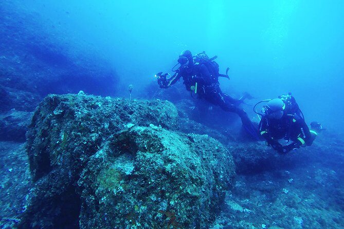 Diving for certified divers with PADI 5* Diving Resort - Taormina - Final Thoughts: Is This Tour Right for You?