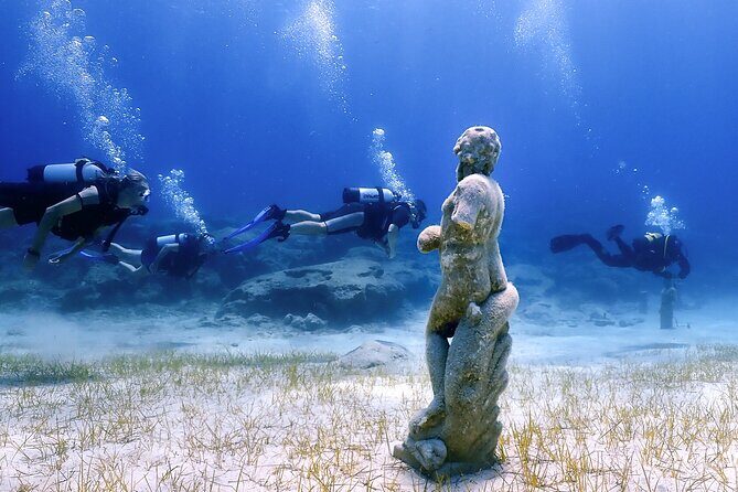 Diving for licensed divers - A Closer Look at the Diving Experience