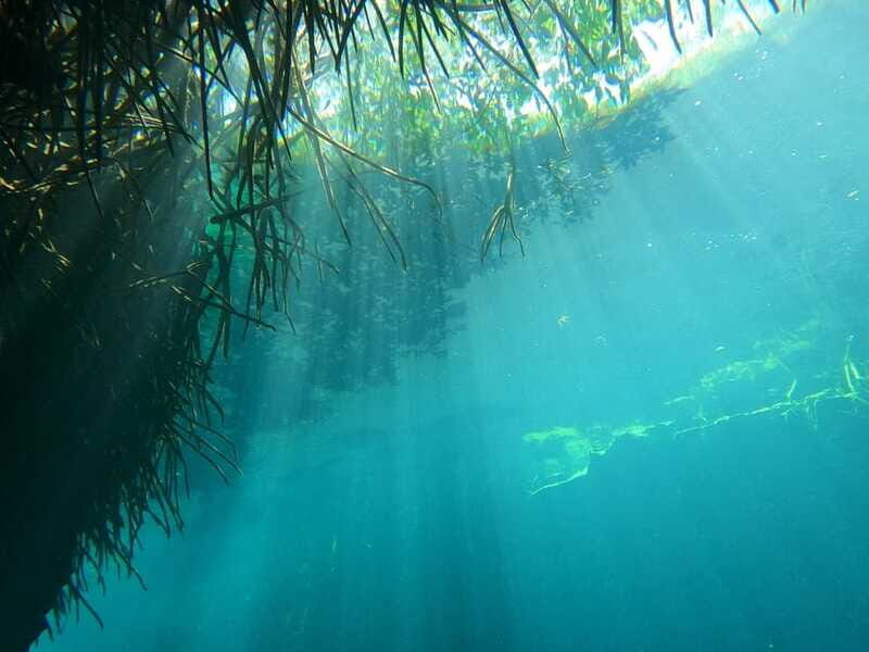 DIVING IN MAYAN CENOTES; THE LARGEST AQUIFER IN THE WORLD - Frequently Asked Questions