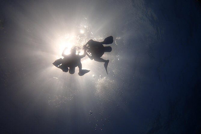 Diving in the Mexican Caribbean for Beginners | 2 Tanks 2 Dives | All Inclusive - Authentic Experiences and Review Highlights