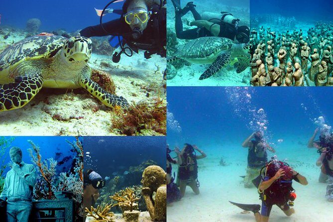 Diving + Muse - Practical Tips for Your Trip