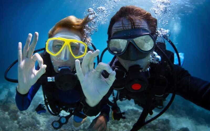Diving Tour from Alanya & Side with Lunch - 2 Dives Included - Key Points
