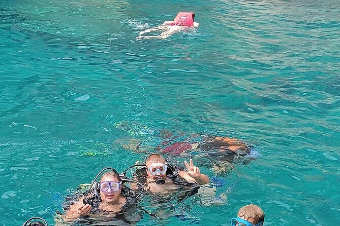 Diving with optional Pick Up - Drop Off from Antalya - The Underwater World: What Youll See