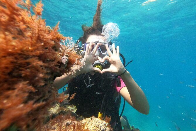 Diving with optional Pick Up - Drop Off from Antalya - Who This Tour Is Perfect For