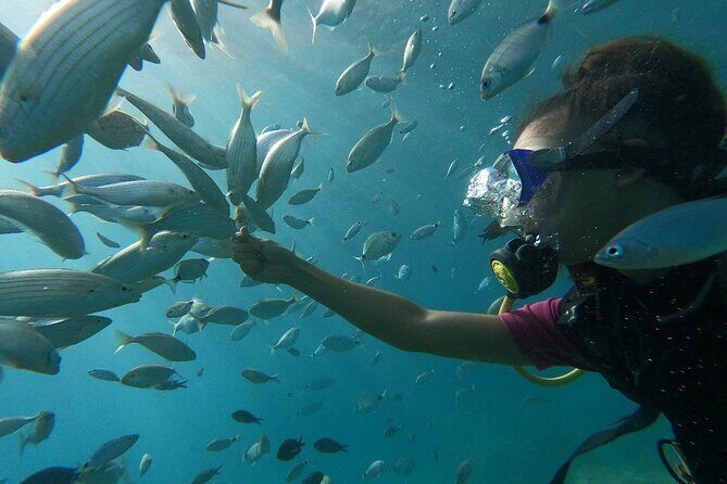 Diving with optional Pick Up - Drop Off from Antalya - Final Thoughts