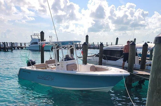 Dock Hop Cruise in Sarasota - Final Thoughts: Is This Tour for You?