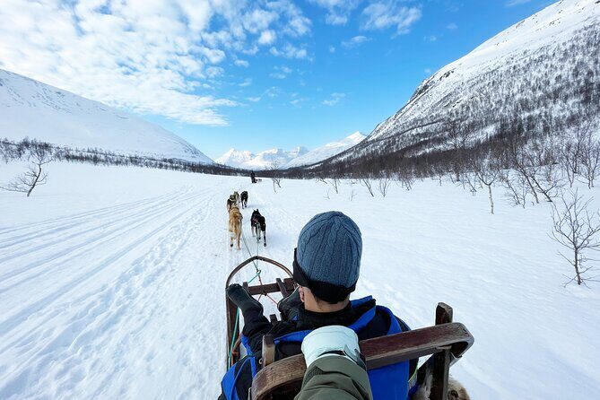 Dog Sledding: A Self-Drive Arctic Experience from Tromsø - Key Points