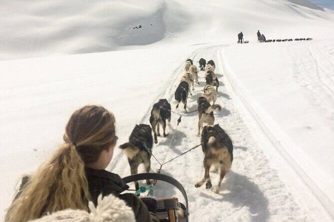 Dog Sledding and Animal Encounters Tour from Anchorage - An In-Depth Look at the Tour Itinerary