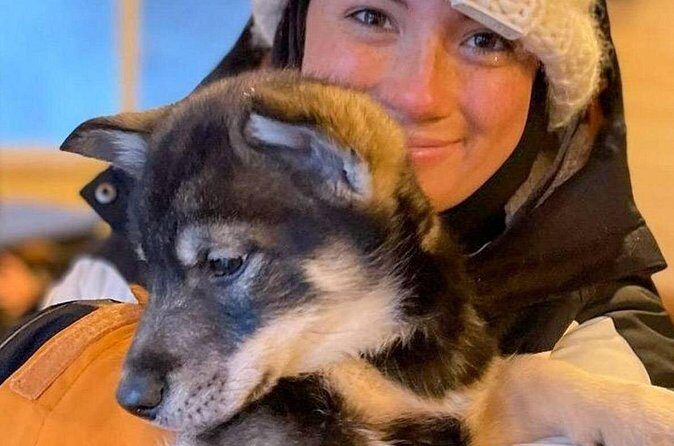 Dog Sledding and Animal Encounters Tour from Anchorage - FAQs